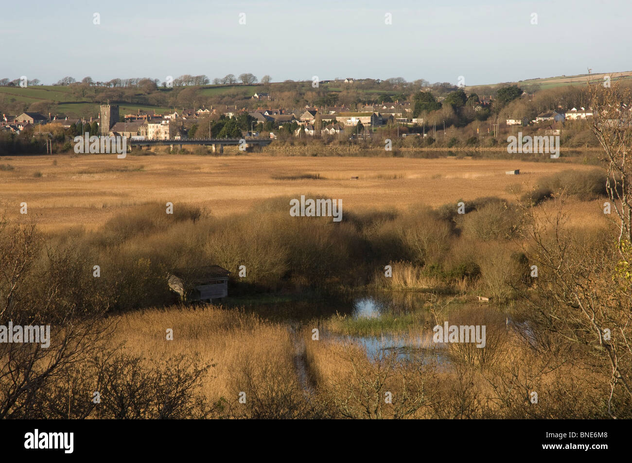 Welsh wildlife centre cardigan hi-res stock photography and images - Alamy