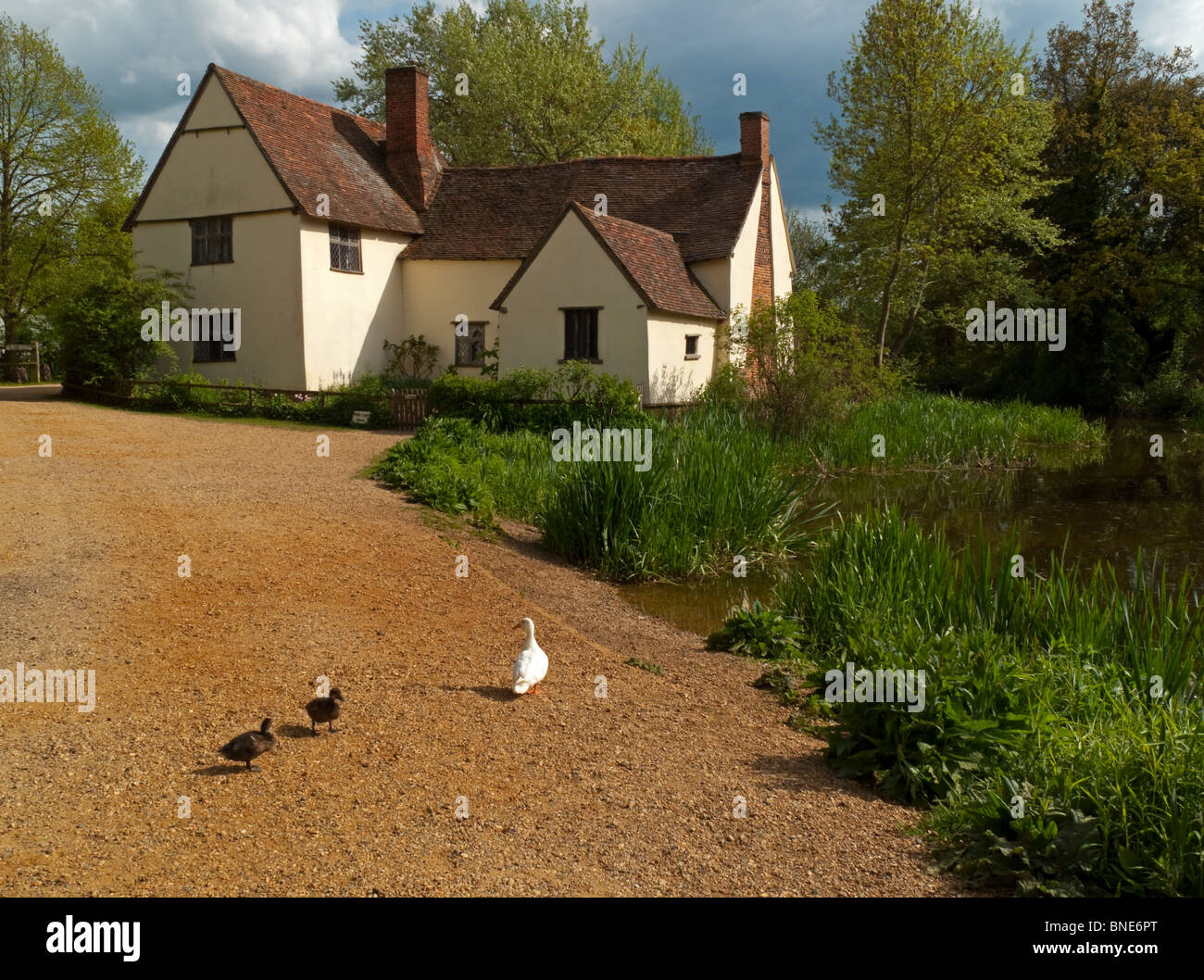 Willy lott’s cottage High Resolution Stock Photography and Images - Alamy