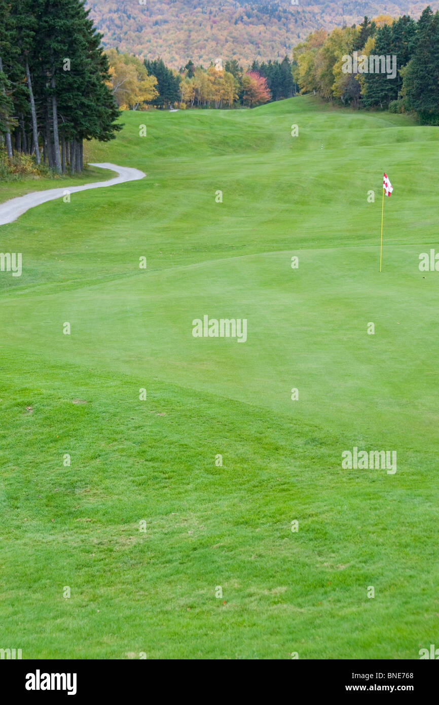 Flag in a golf course Stock Photo - Alamy