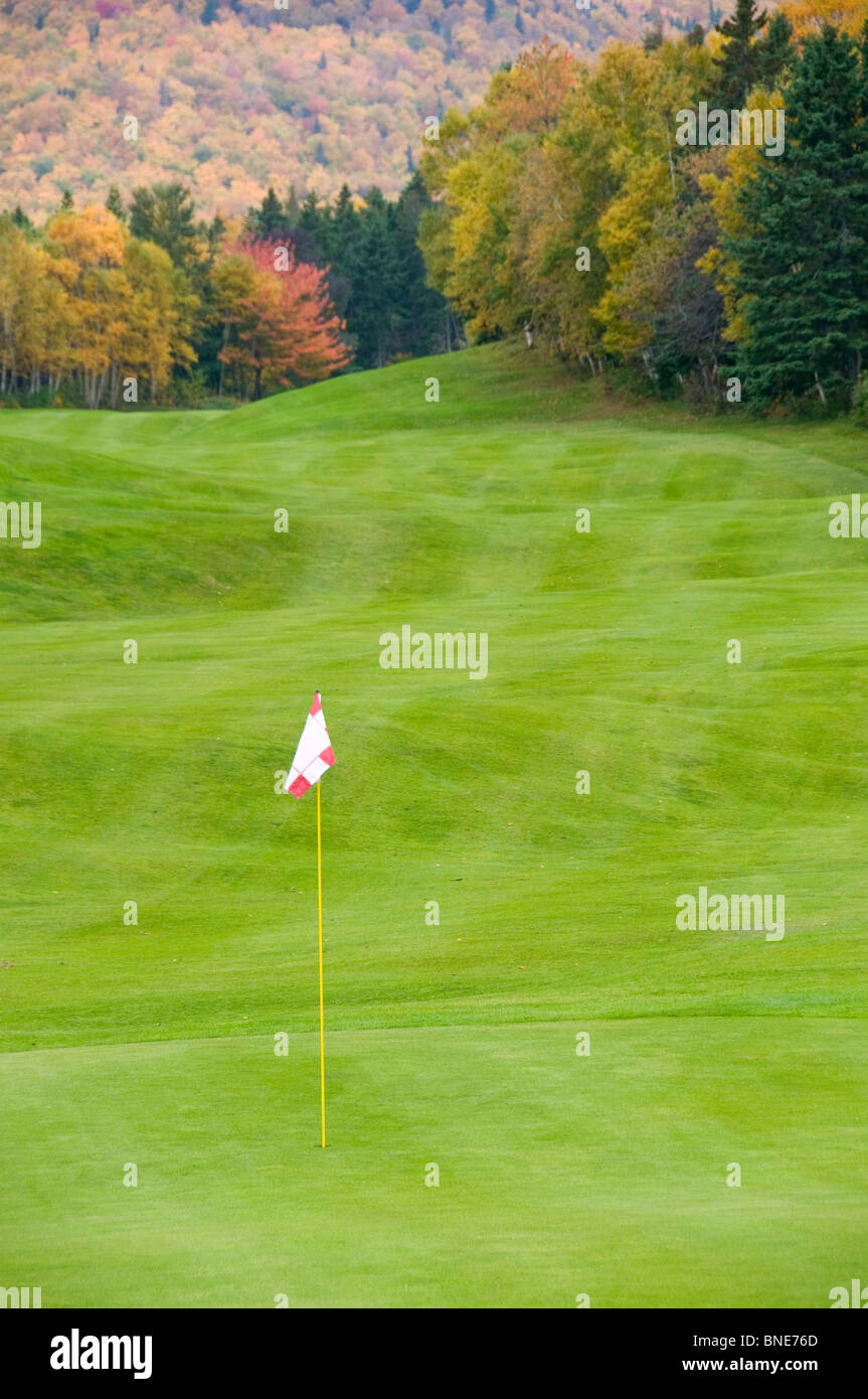 Flag in a golf course Stock Photo - Alamy
