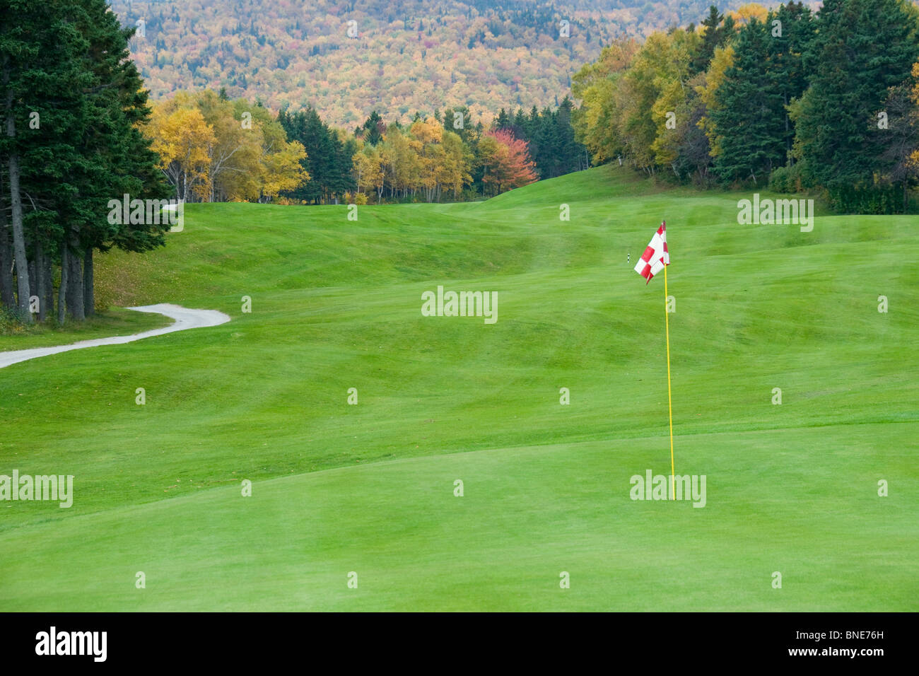 Flag in a golf course Stock Photo - Alamy