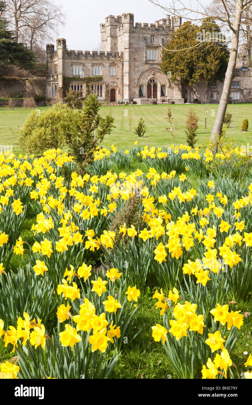 Springtime at Bolton Abbey, North Yorkshire Stock Photo - Alamy