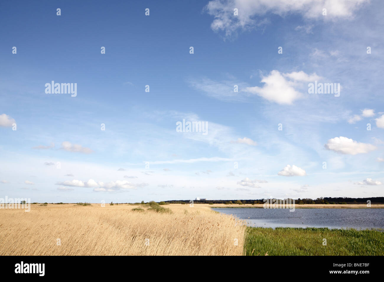 Minsmere, RSPB reserve, Suffolk, May 2010 Stock Photo - Alamy