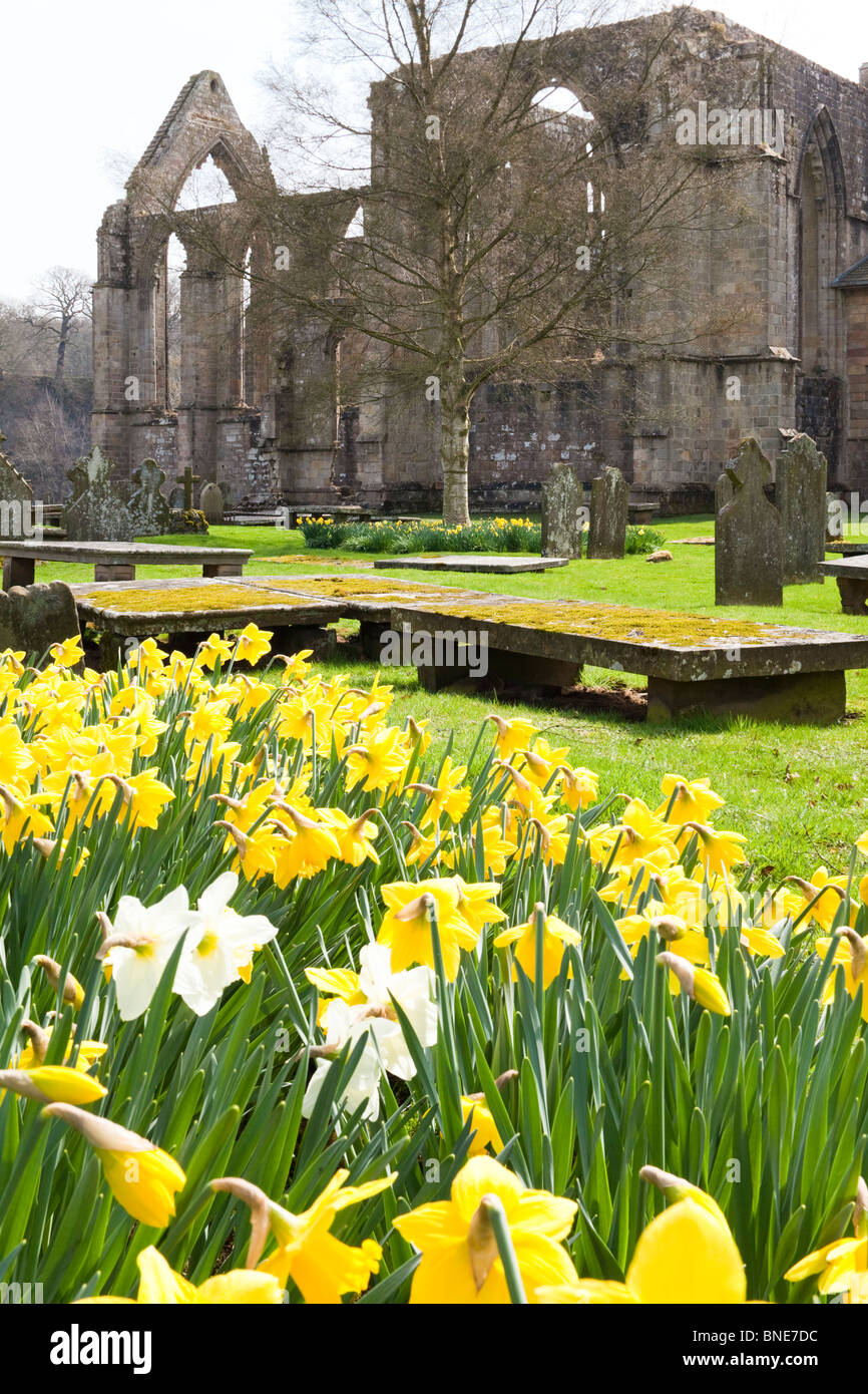 Bolton abbey spring hi-res stock photography and images - Alamy
