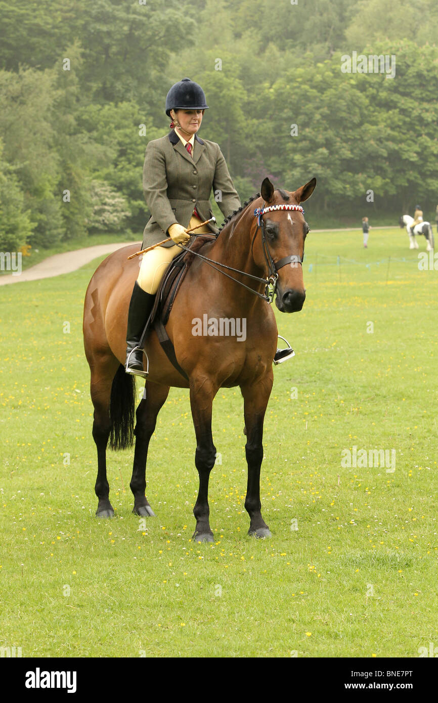 lady rider on horse back in portrait view Stock Photo - Alamy