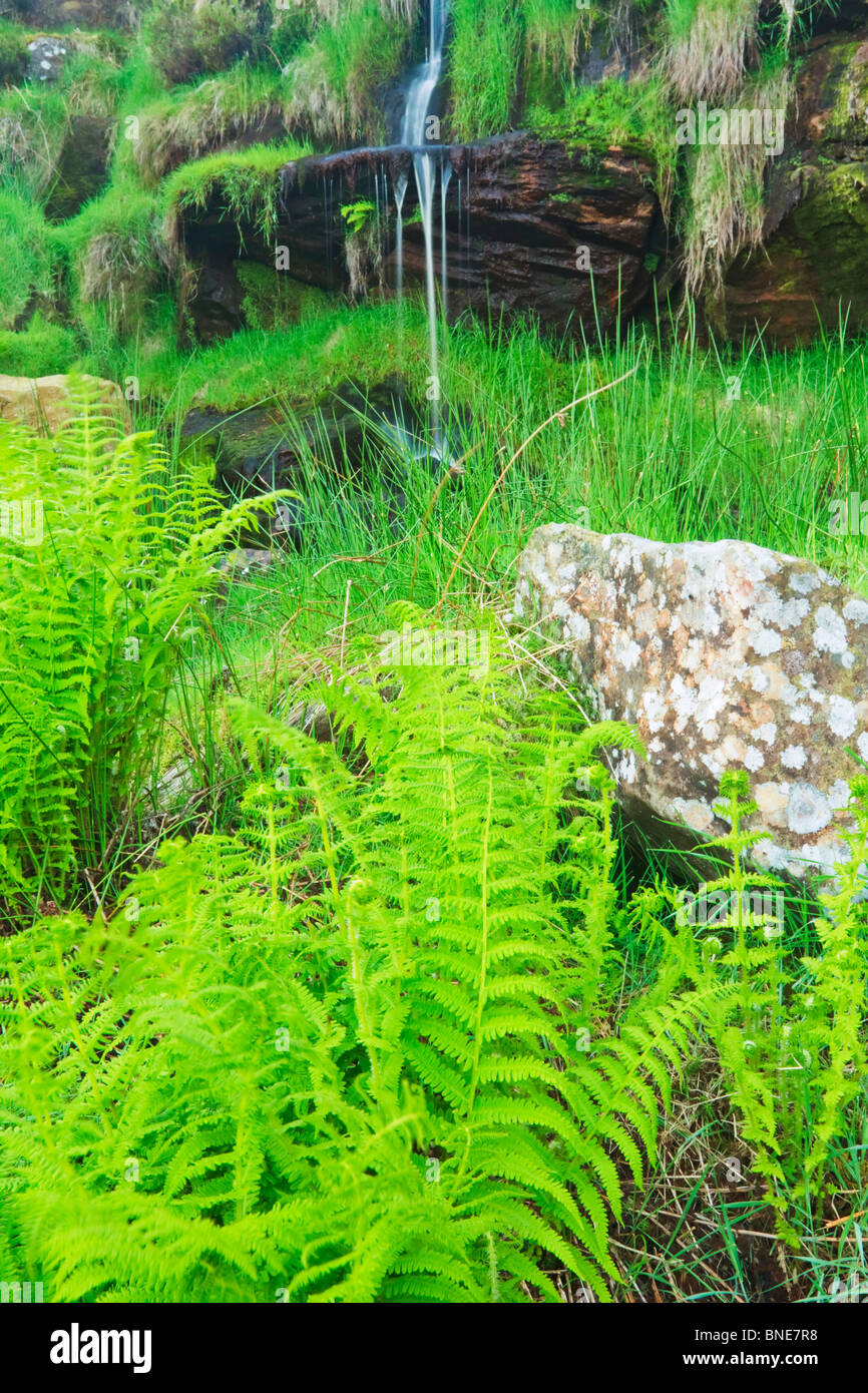 Bronte waterfalls at haworth moor hi-res stock photography and images ...