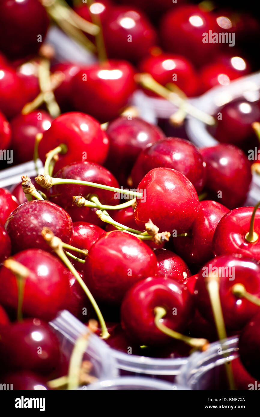 English Cherries in their boxes ready for the Supermarket Stock Photo ...