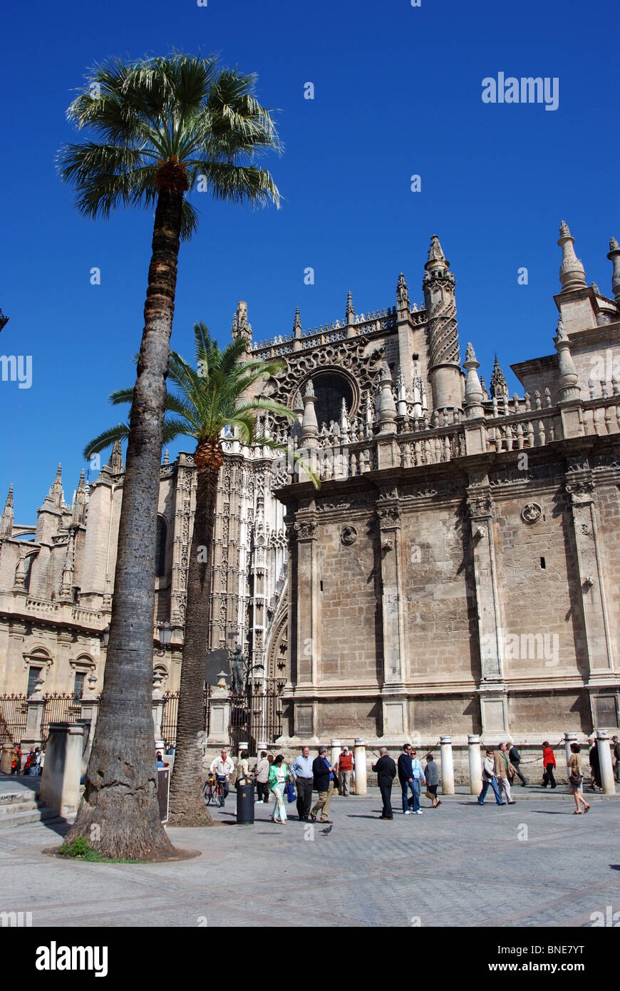 Palm tree seville hi-res stock photography and images - Alamy