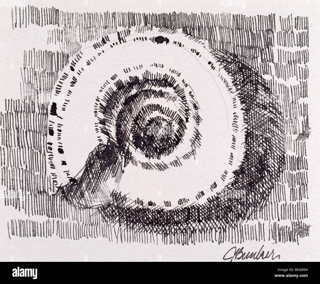 John shell hi-res stock photography and images - Alamy