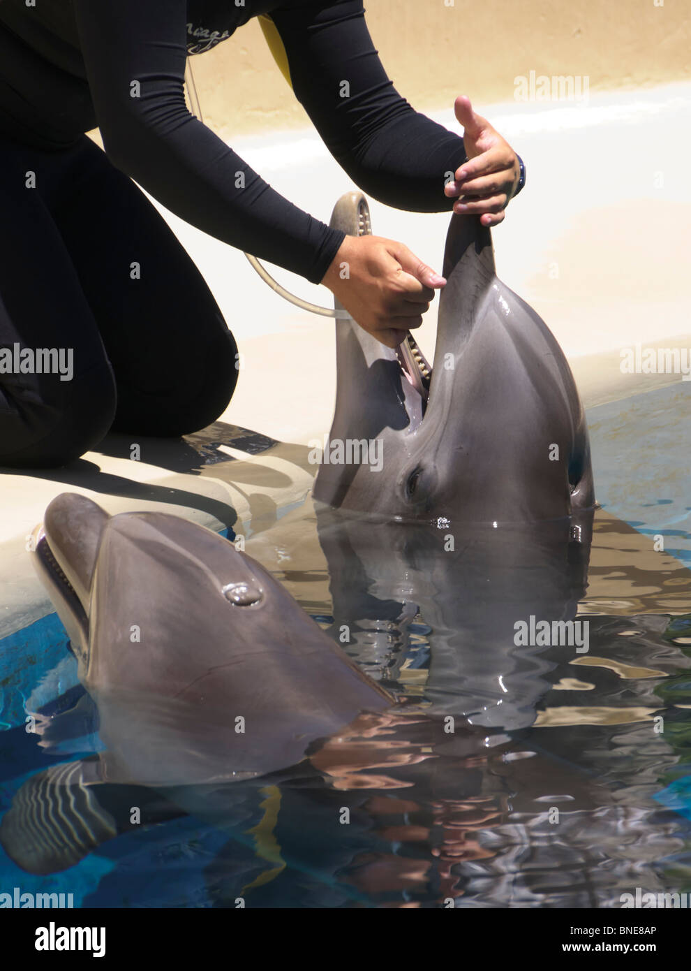 Feeding tube stomach hi-res stock photography and images - Alamy