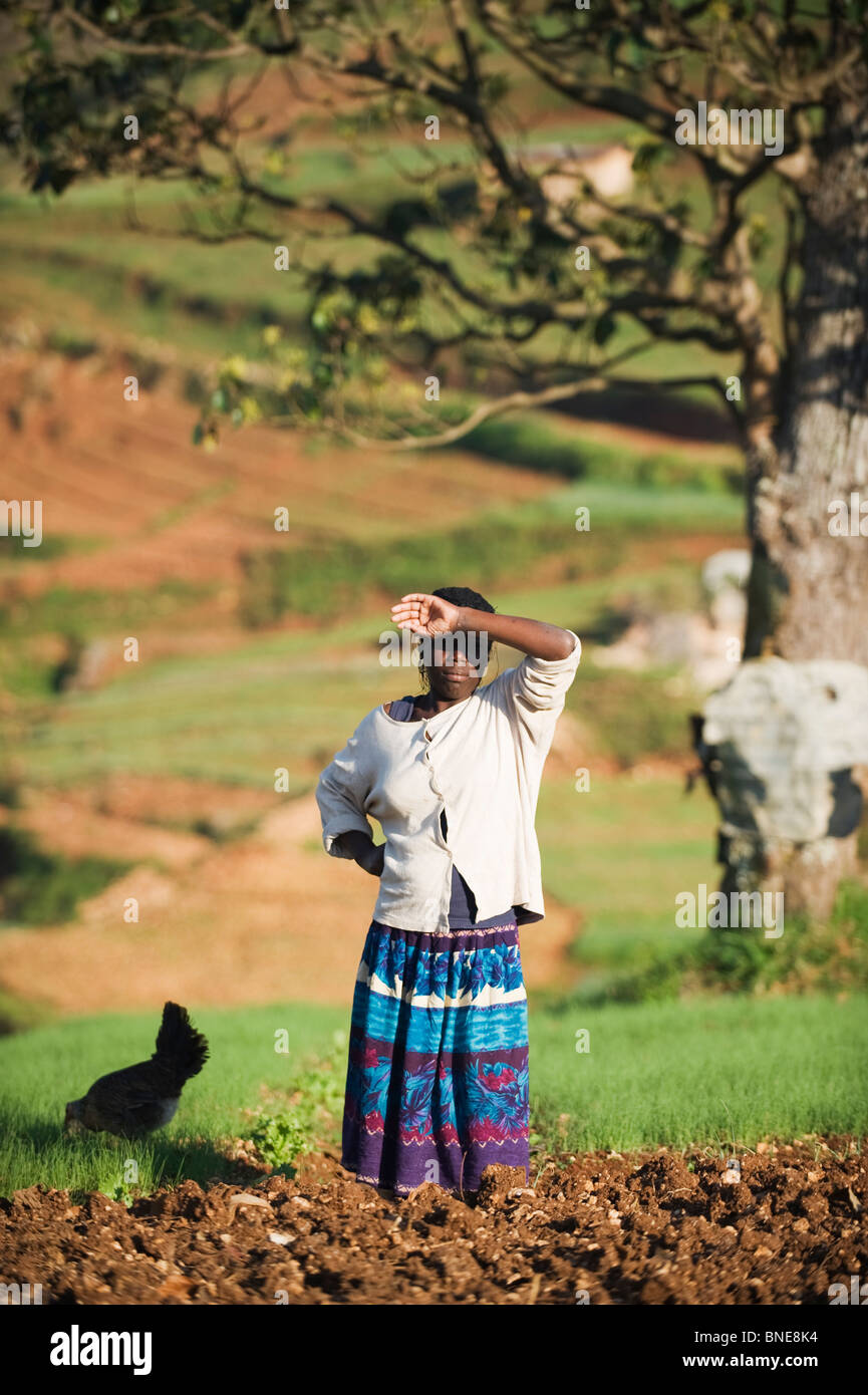 Kenscoff mountains port au prince hi-res stock photography and images ...
