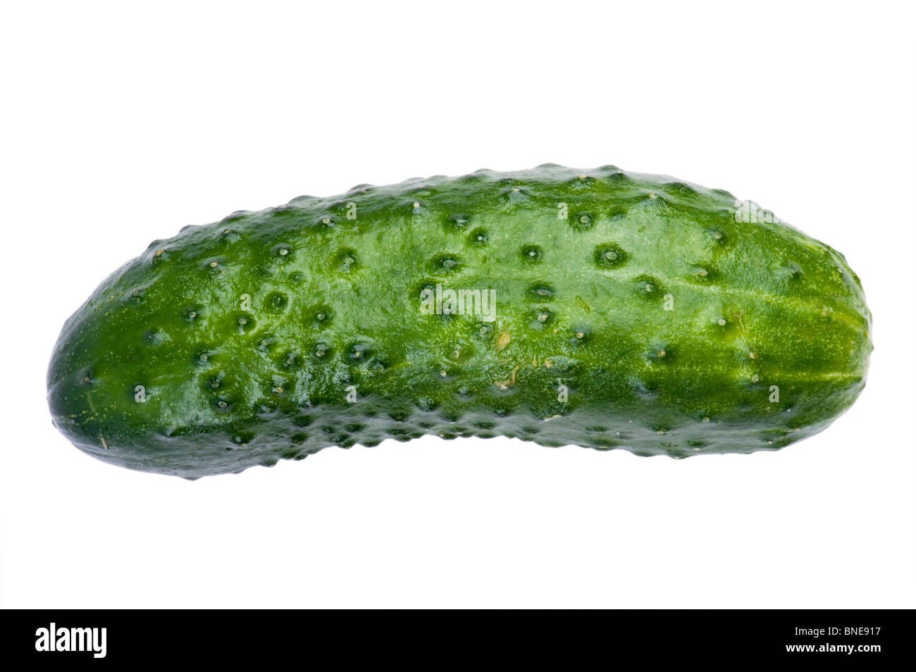 object on white - food cucumber close up Stock Photo - Alamy