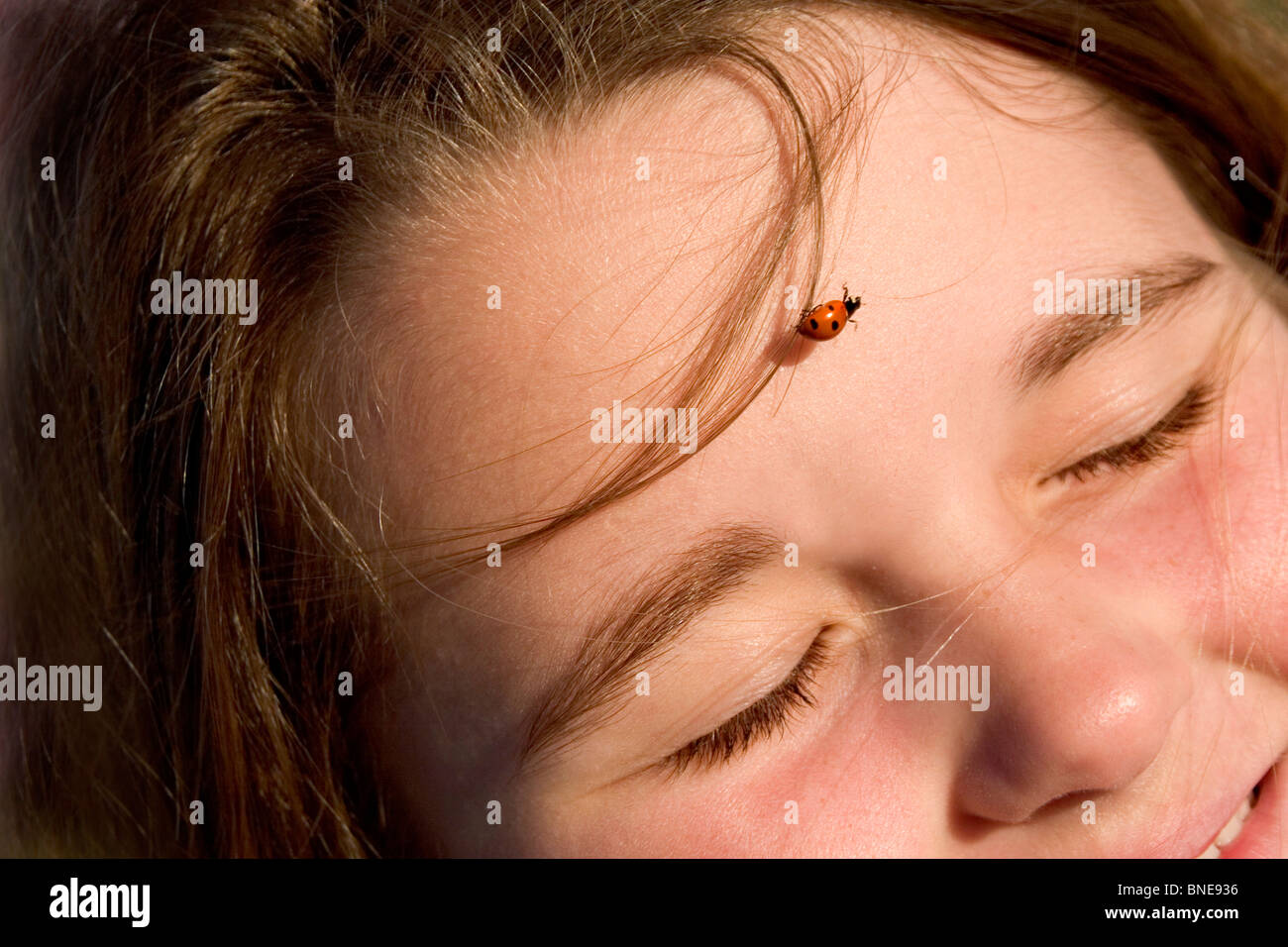 Close-up of a girl smiling and a ladybug hanging from strand of her ...