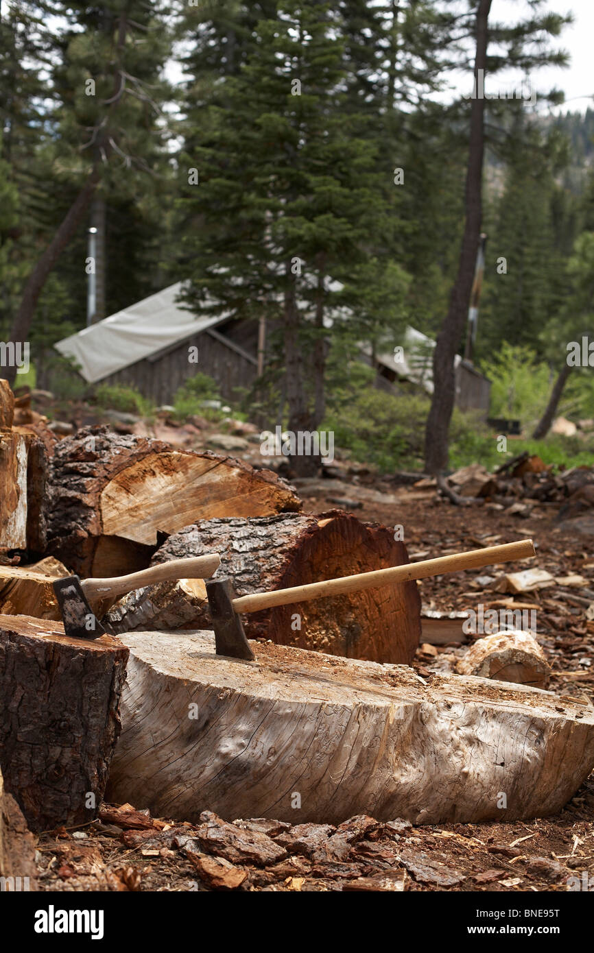 Axes on tree stumps Stock Photo - Alamy