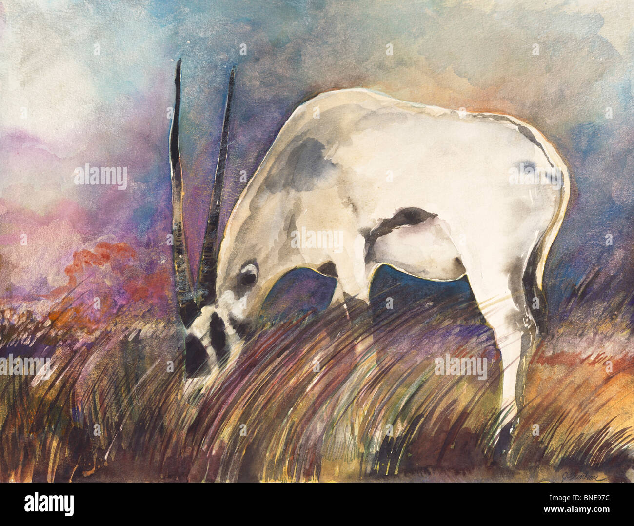 Watercolor antelope hi-res stock photography and images - Alamy