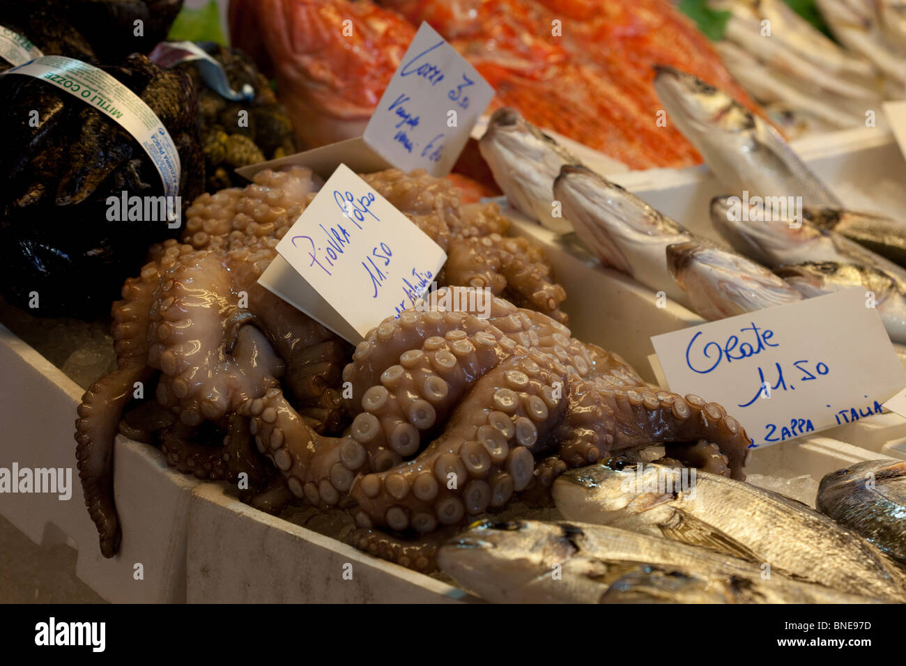 Open fresh fish market in venice hi-res stock photography and images ...
