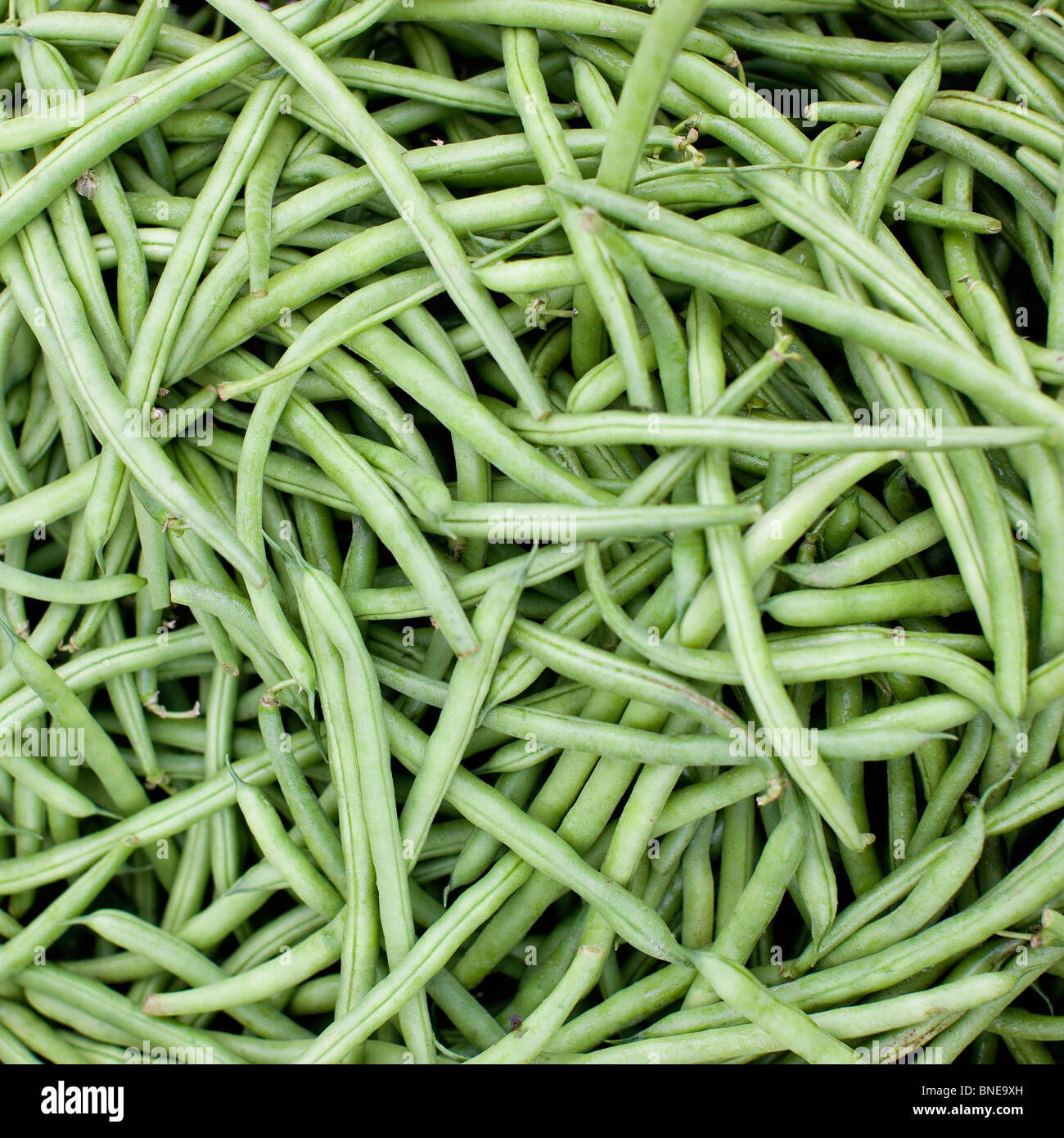 Close-up of green beans Stock Photo - Alamy