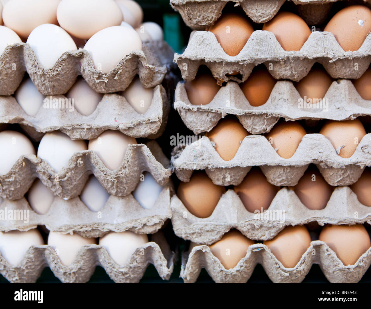 Stack of egg trays hi-res stock photography and images - Alamy