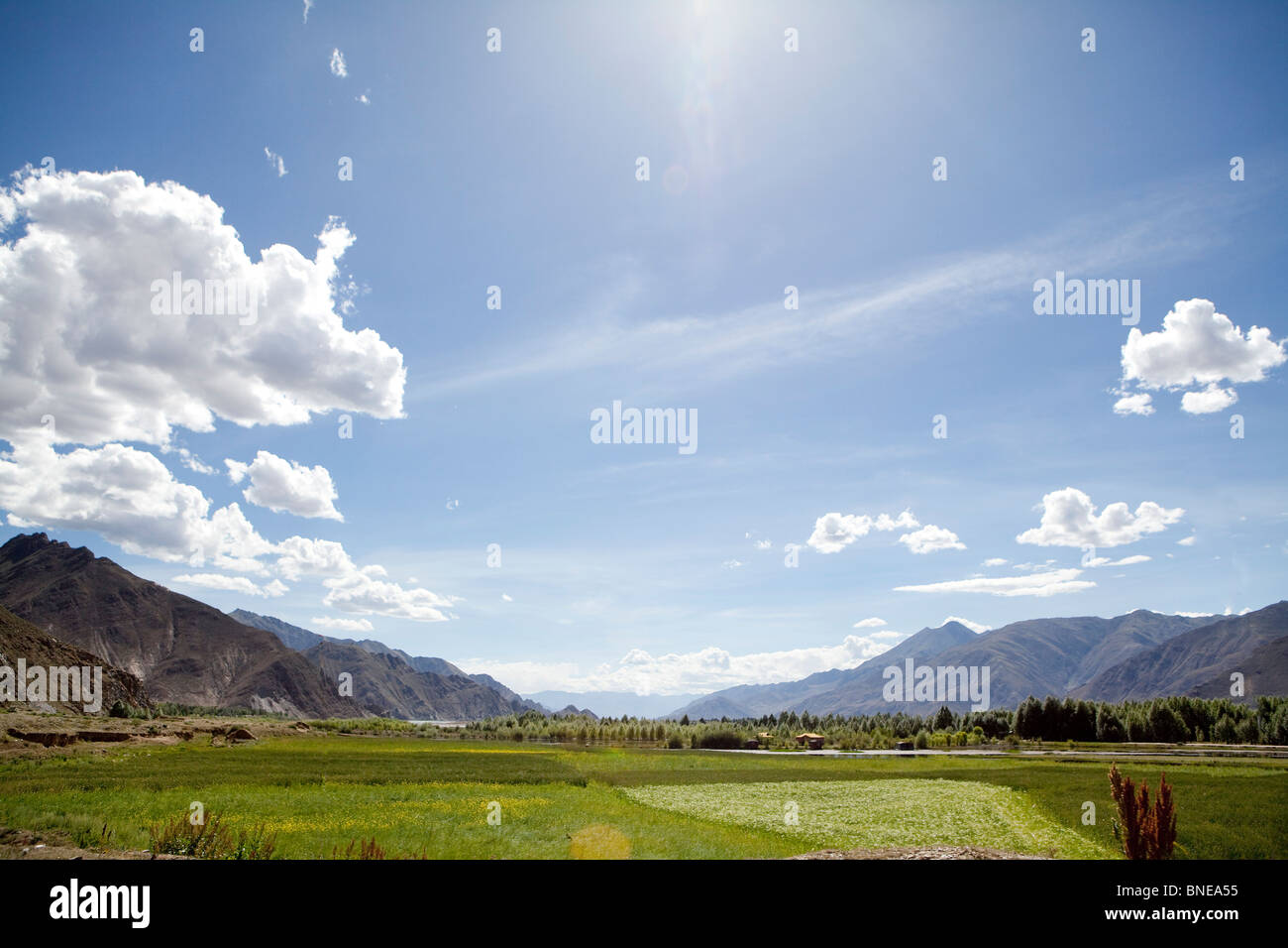 Landscape in front of mountains, Tibet Stock Photo - Alamy