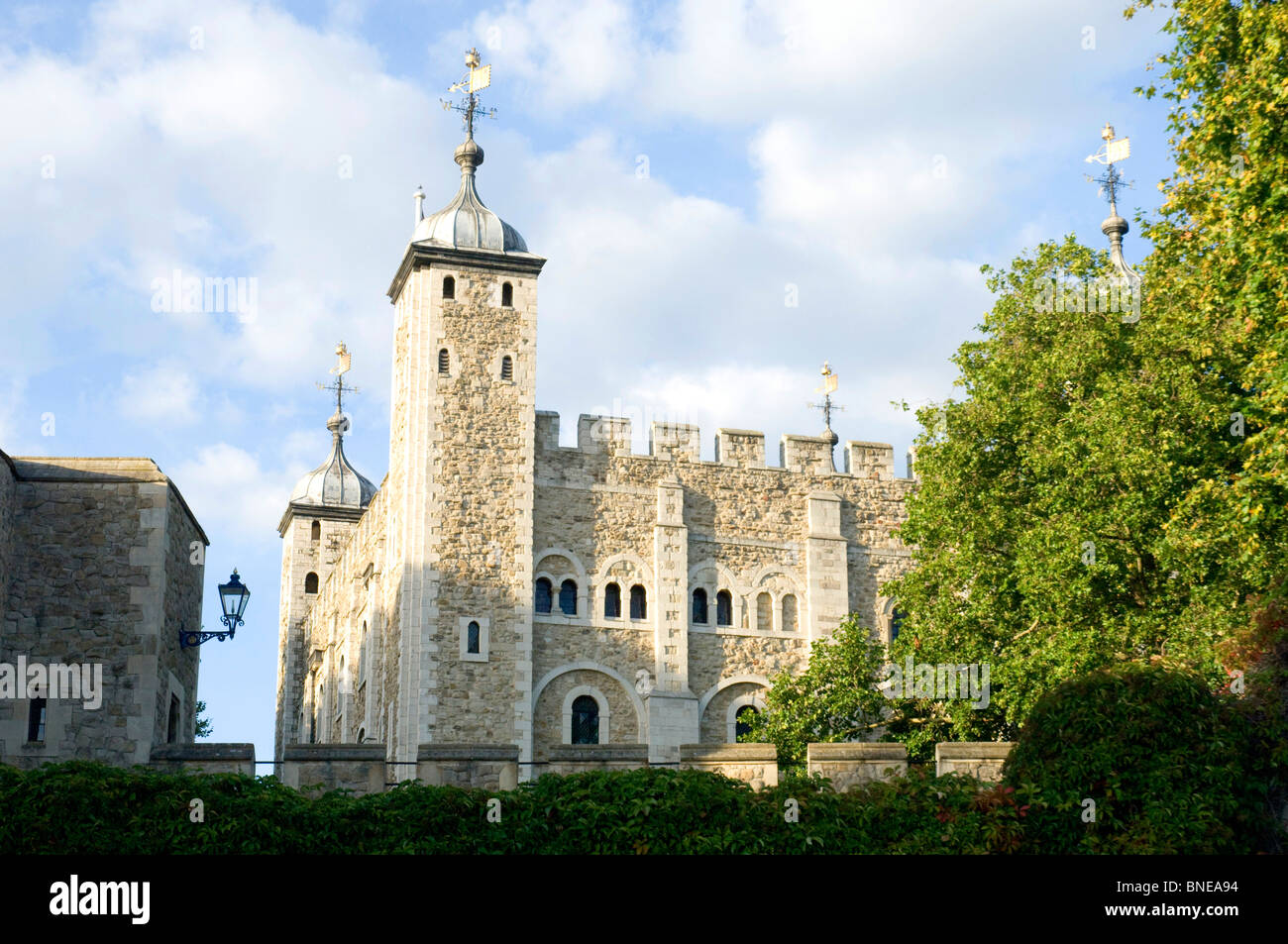 Trees in front of a castle, Tower of London, London, England Stock ...
