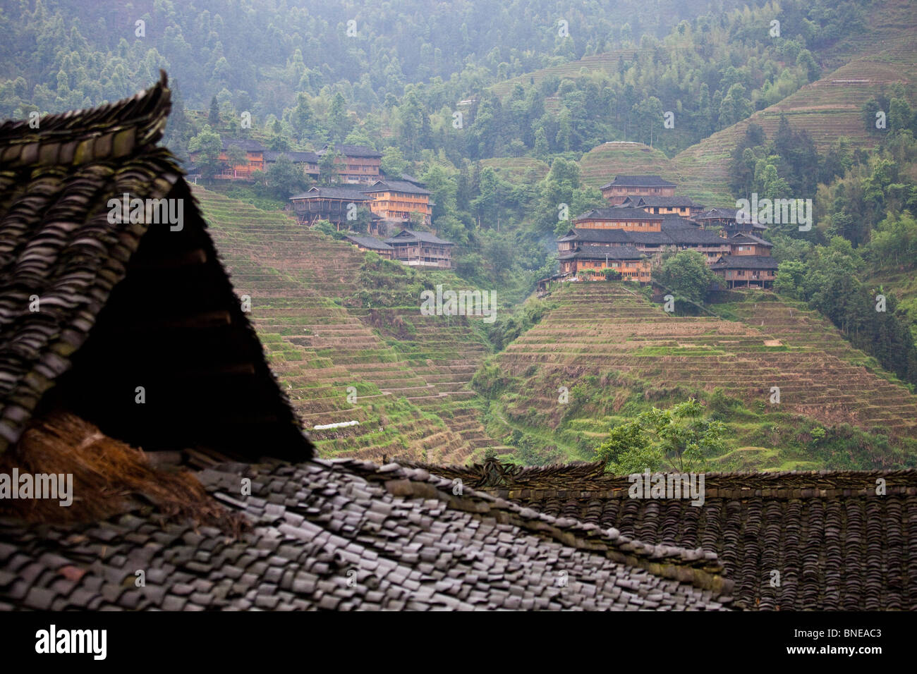 China guangxi province longsheng dazhai hi-res stock photography and ...
