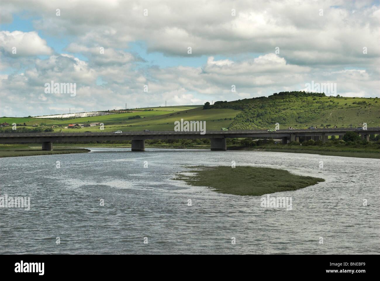Trunk columns hi-res stock photography and images - Alamy