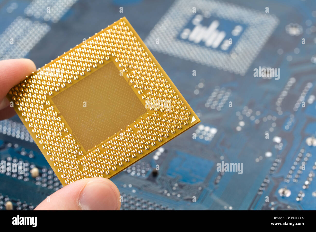 Golden Computer CPU close up shot Stock Photo - Alamy