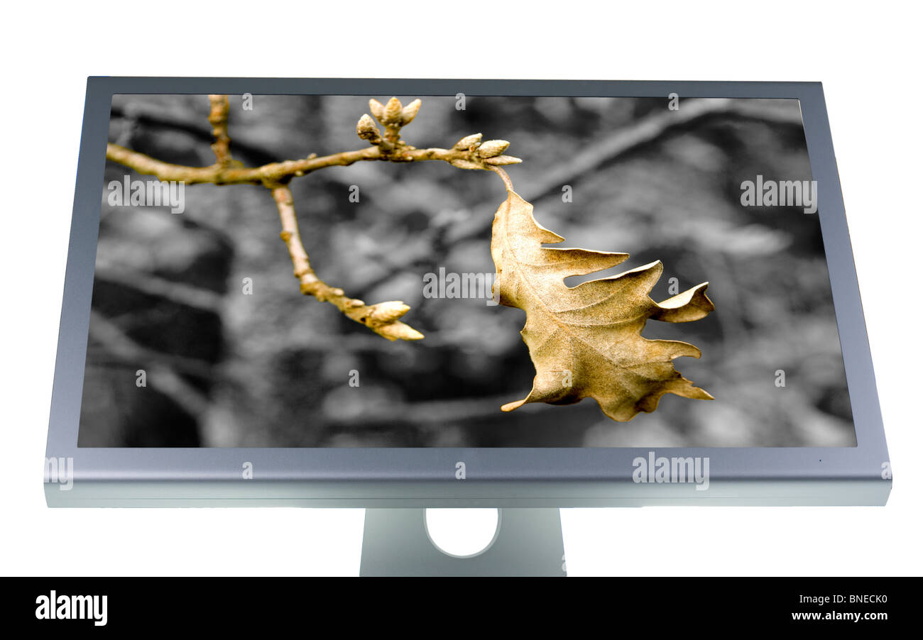 computer lcd or tft monitor with flat screen Stock Photo - Alamy
