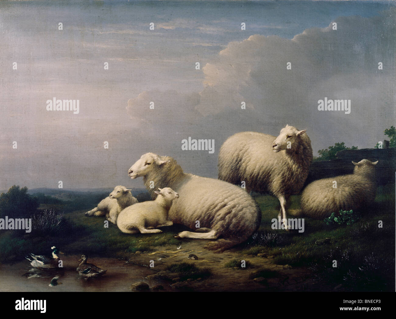 Sheep & Ducks In A Landscape, Severdonck, Franz van (1809-1889/Belgian ...