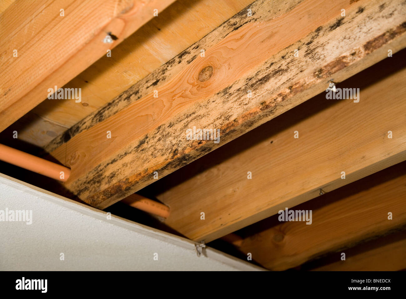 Home Interior Water leaking damage for background Stock Photo - Alamy