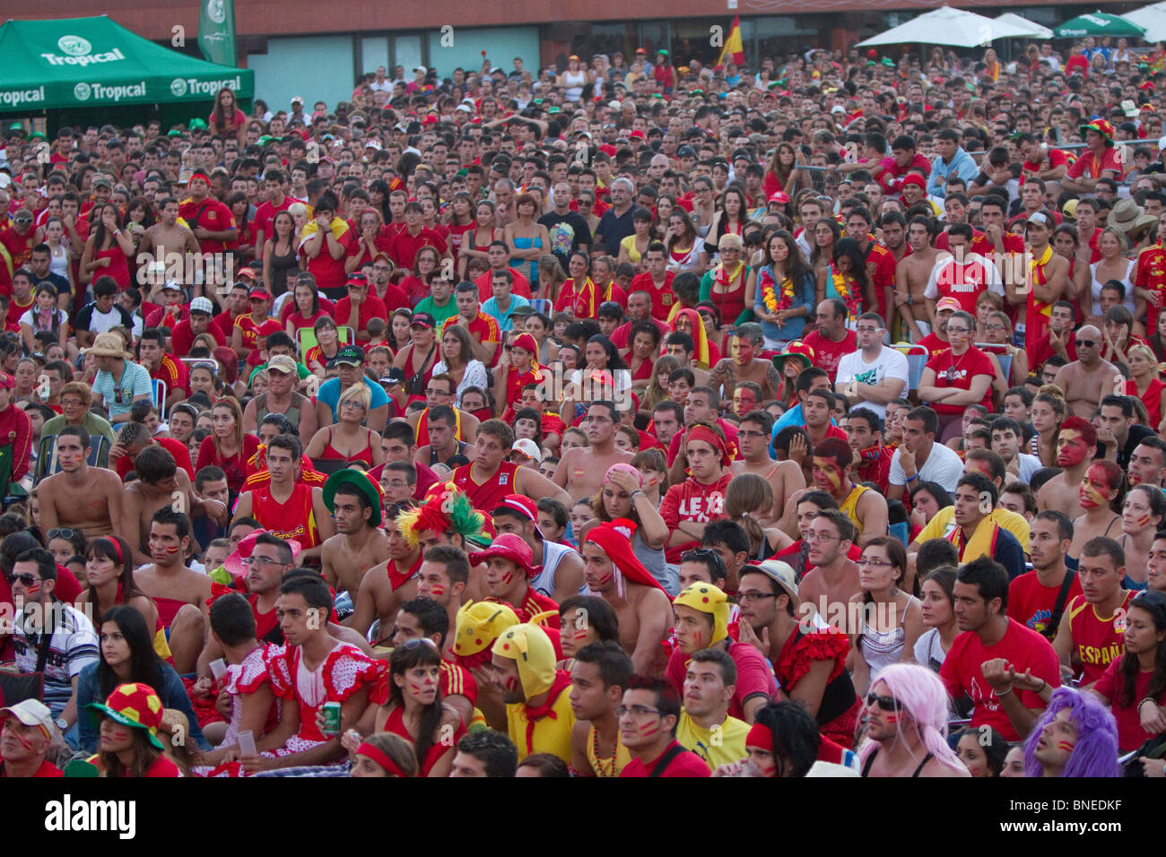 Spanish soccer fans cheering Stock Photo - Alamy