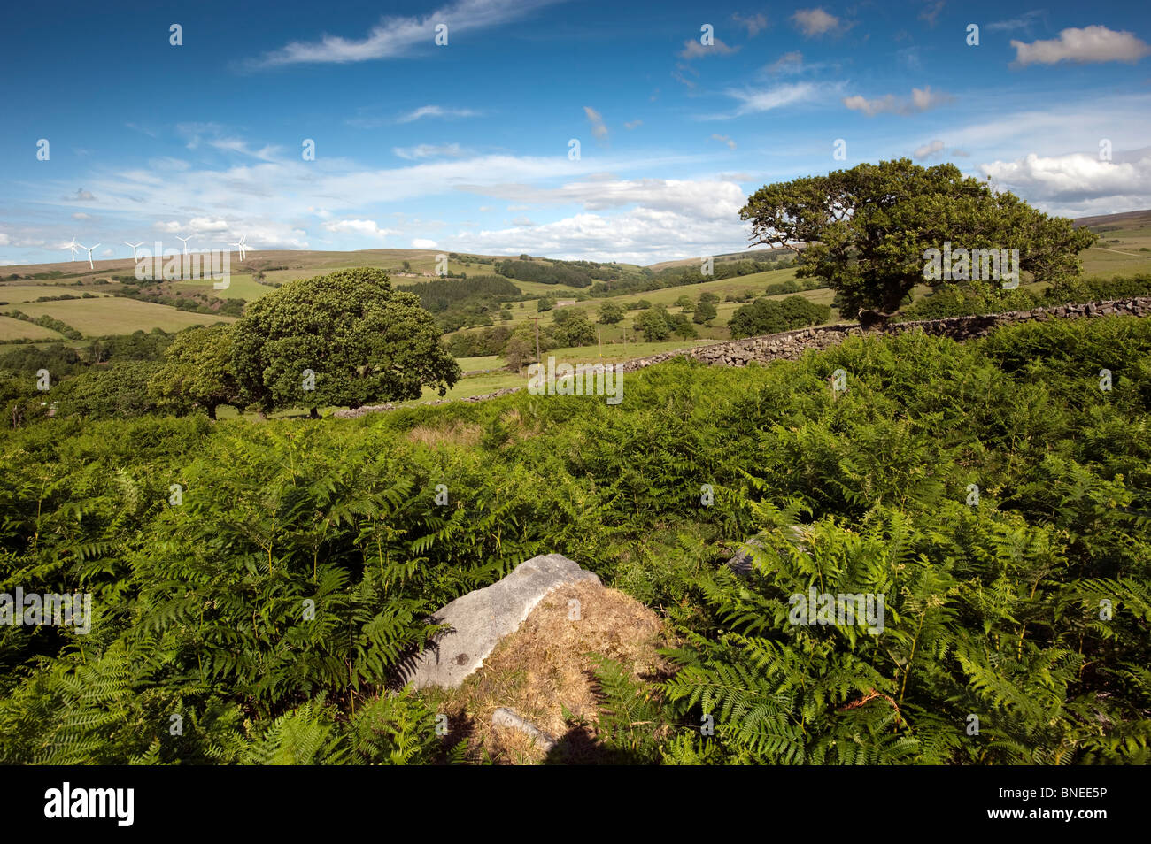 Looking up Littledale near Lancaster towards Udale Beck and Blanch Fell ...