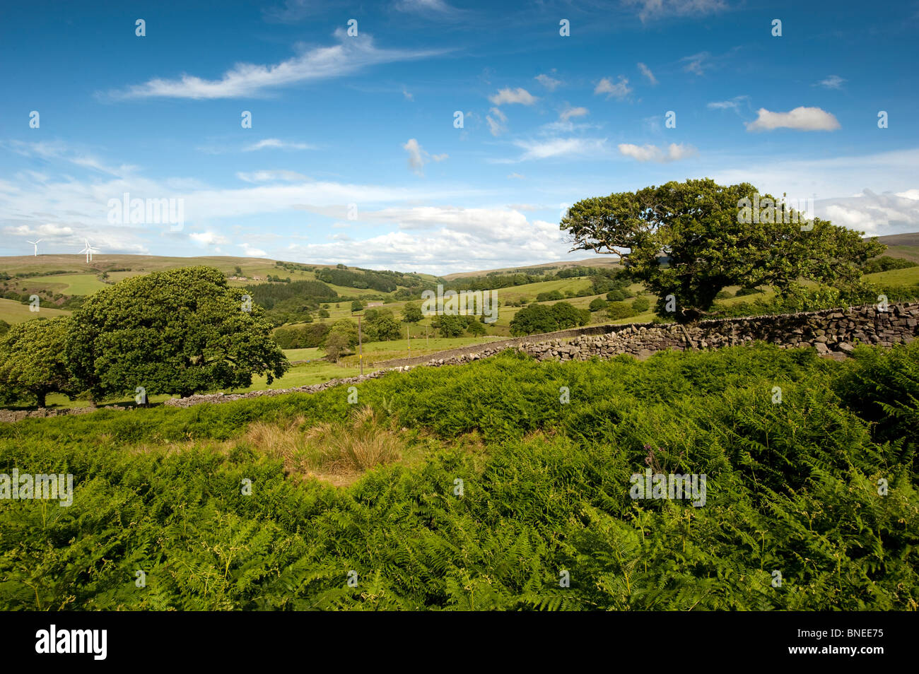 Looking up Littledale near Lancaster towards Udale Beck and Blanch Fell ...