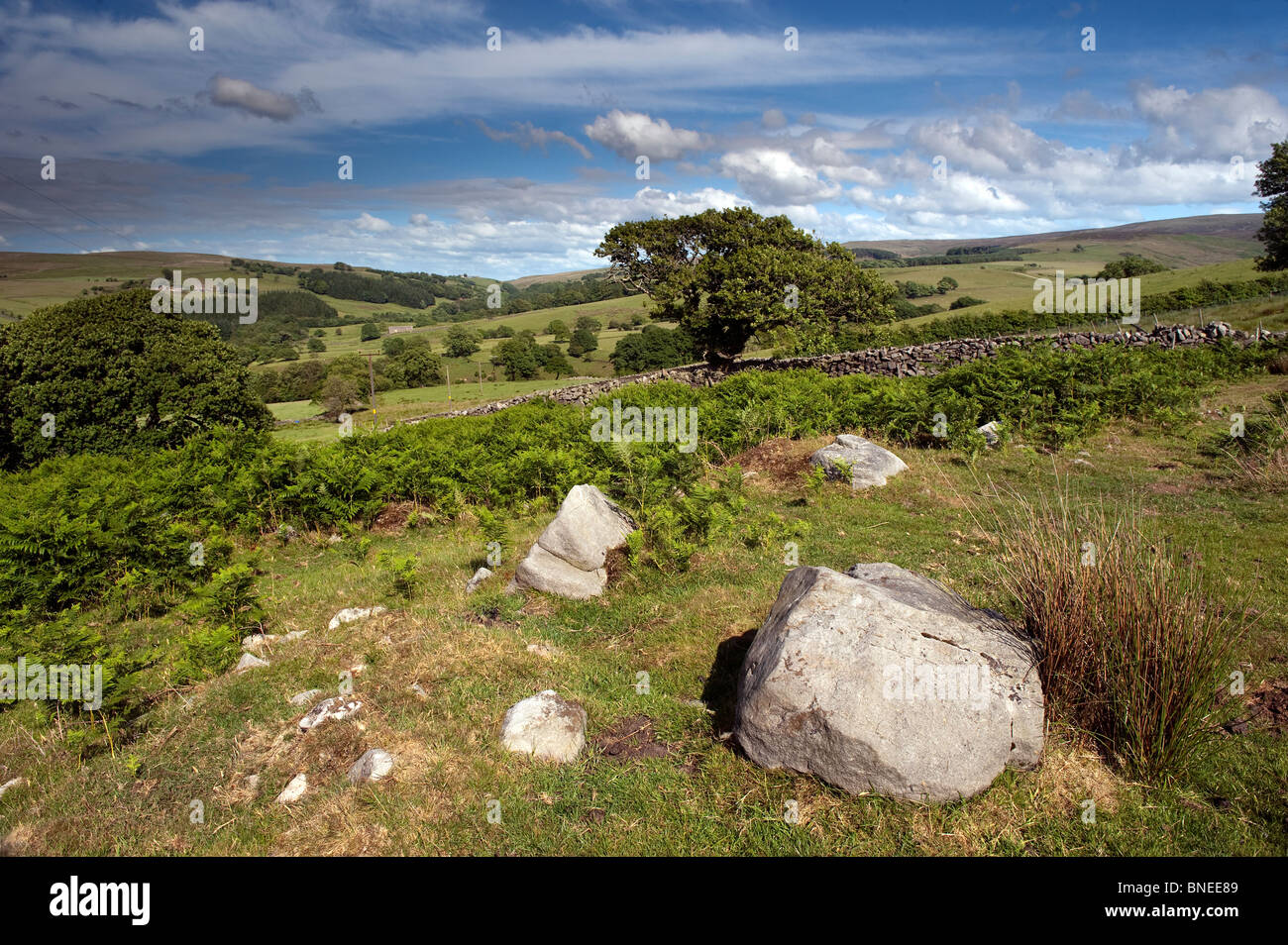 Looking up Littledale near Lancaster towards Udale Beck and Blanch Fell ...