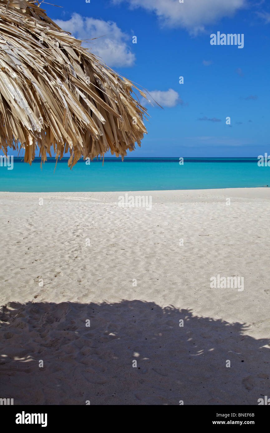 Respect the beach hi-res stock photography and images - Alamy
