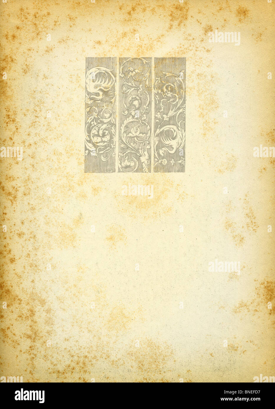 Renaissance design elements hi-res stock photography and images - Alamy