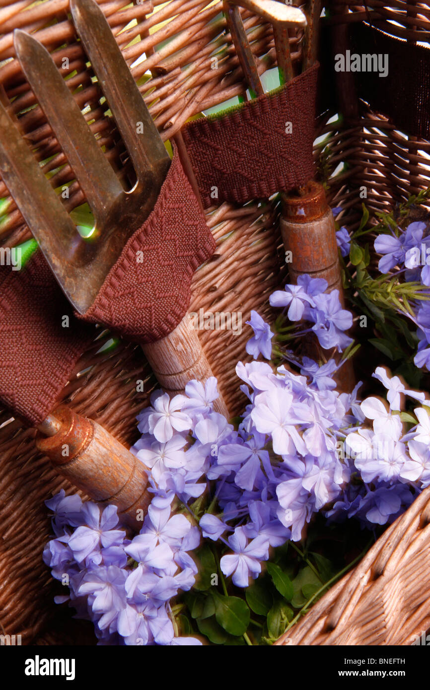 Garden tools and a bromeliad bloom Stock Photo - Alamy