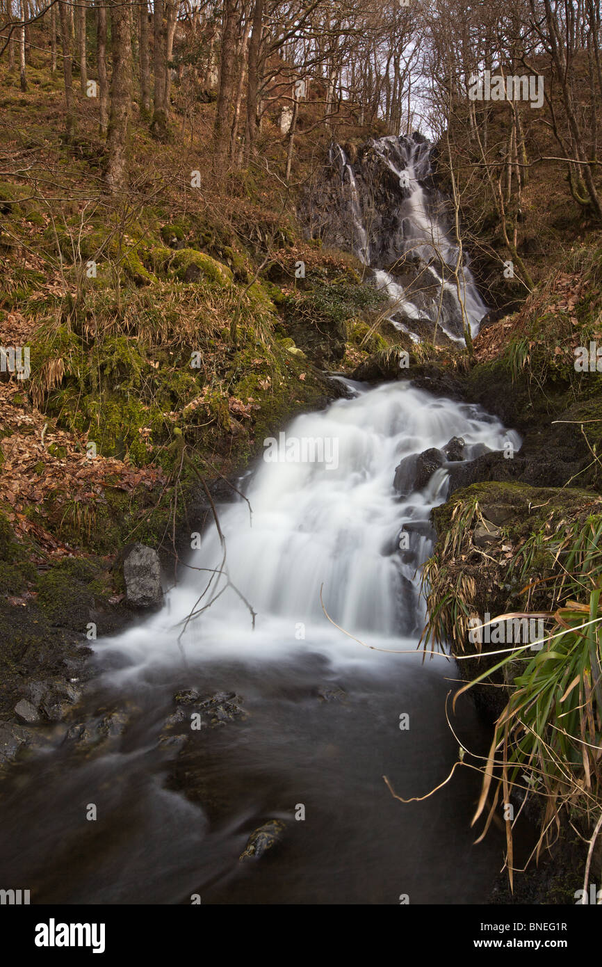 Wood of cree waterfall hi-res stock photography and images - Alamy