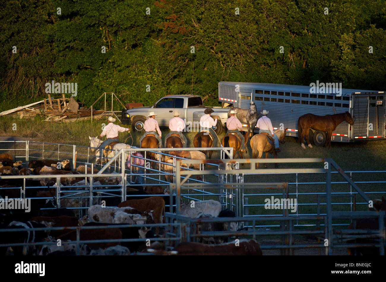 Cowboy members of PRCA gearing up backstage for rodeo event in ...