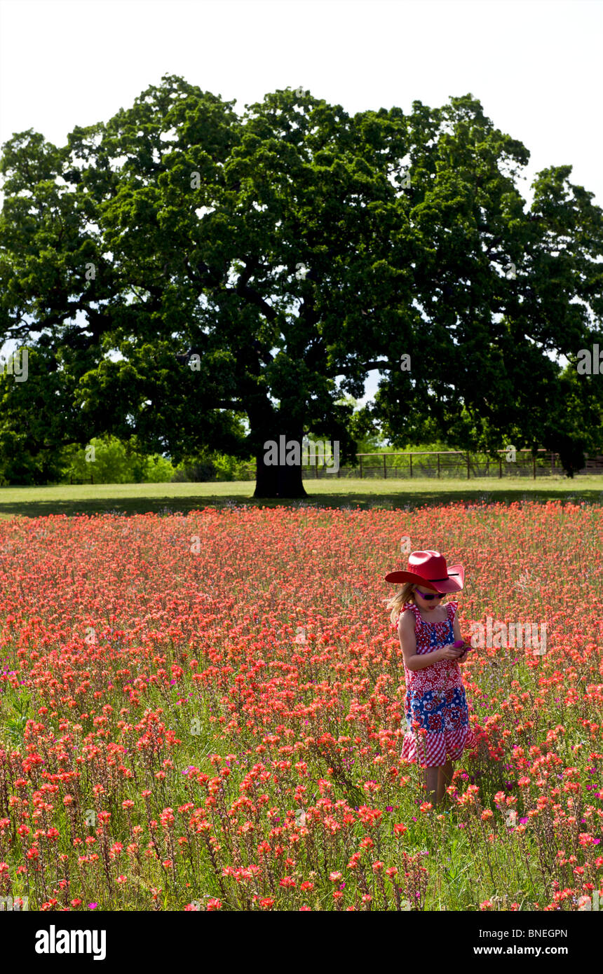 Flowers spring usa united states hi-res stock photography and images ...