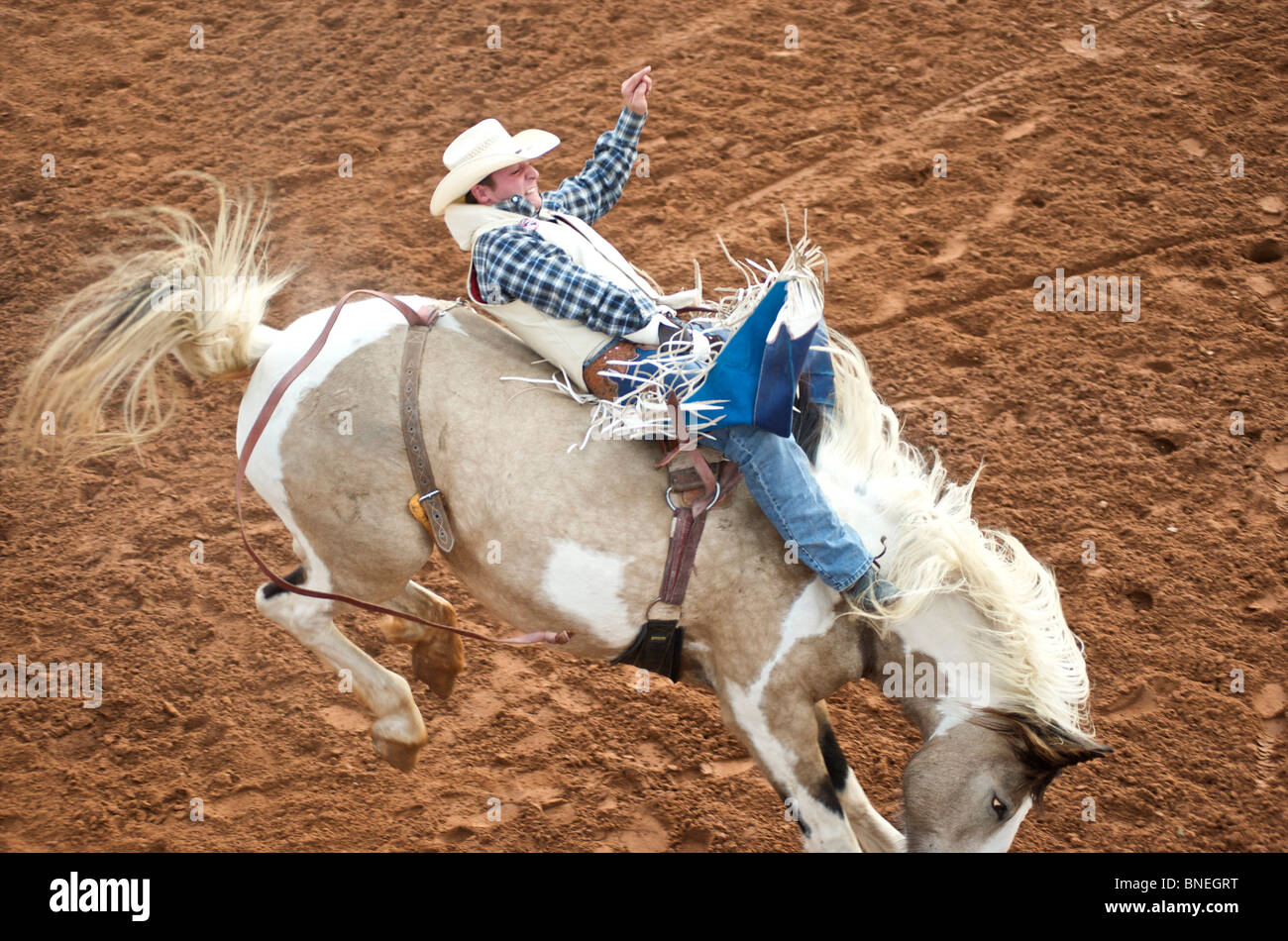 Rodeo cowboy member of PRCA balancing himself on horse Smalltown Texas ...