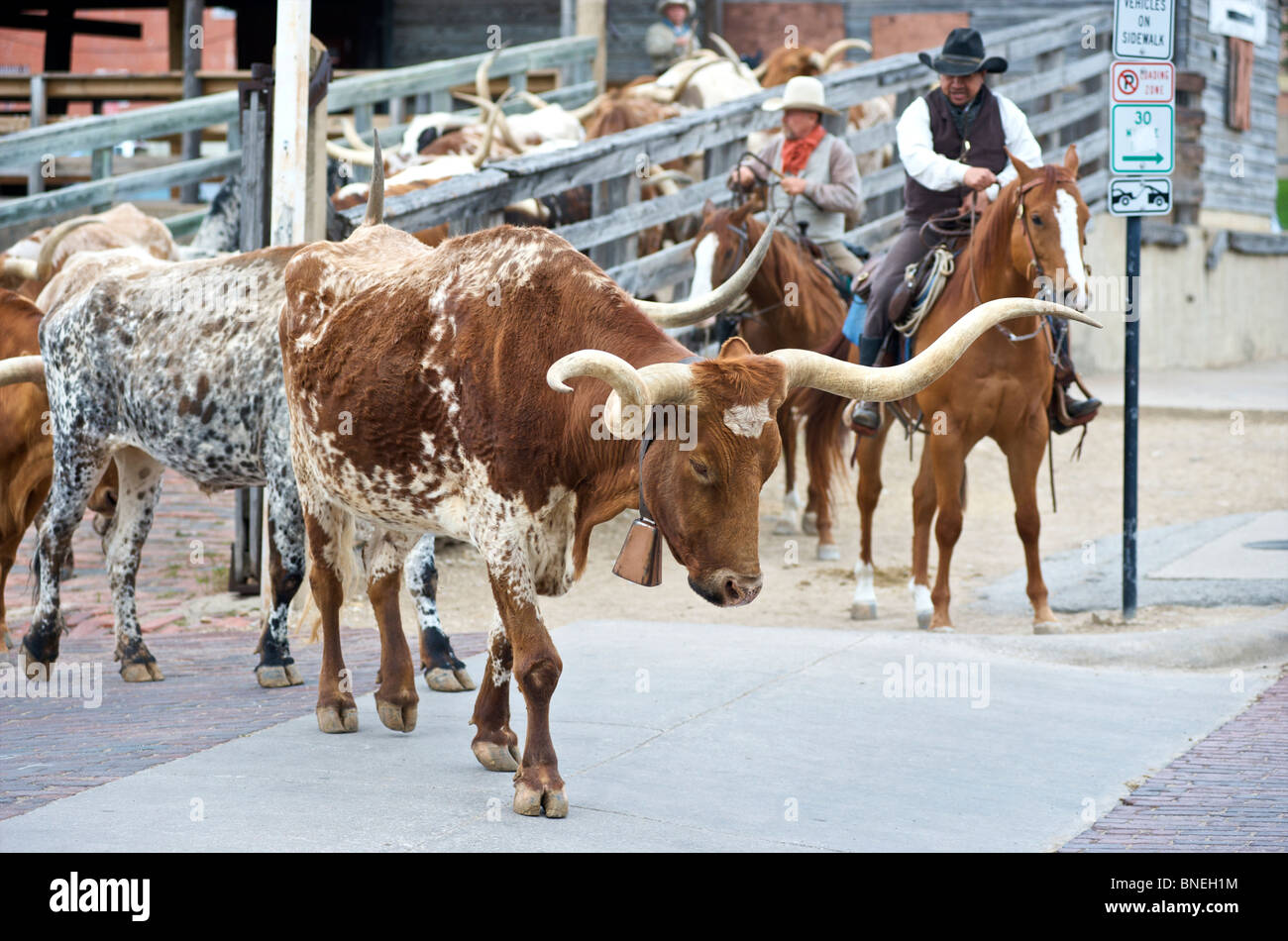 Fort wrangle High Resolution Stock Photography and Images - Alamy