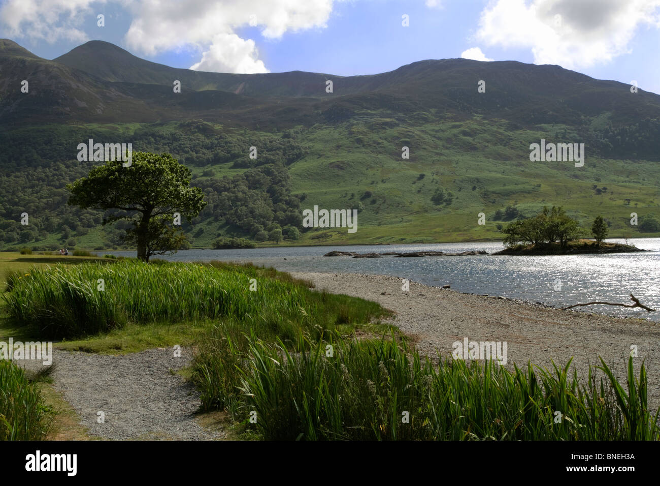 Holme Islands with Red Pike from Crummock Water, Lake District, Cumbria ...