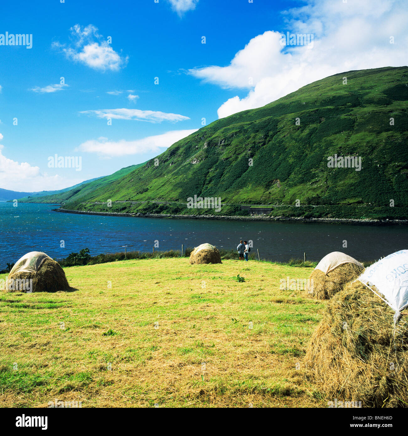 HAYCOCKS KILLARY HARBOUR FJORD CONNEMARA COUNTY GALWAY IRELAND EUROPE ...