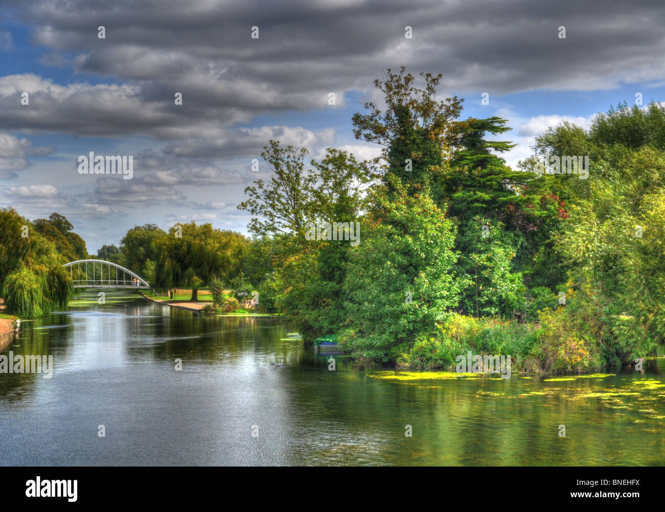 Ouse plant hi-res stock photography and images - Alamy