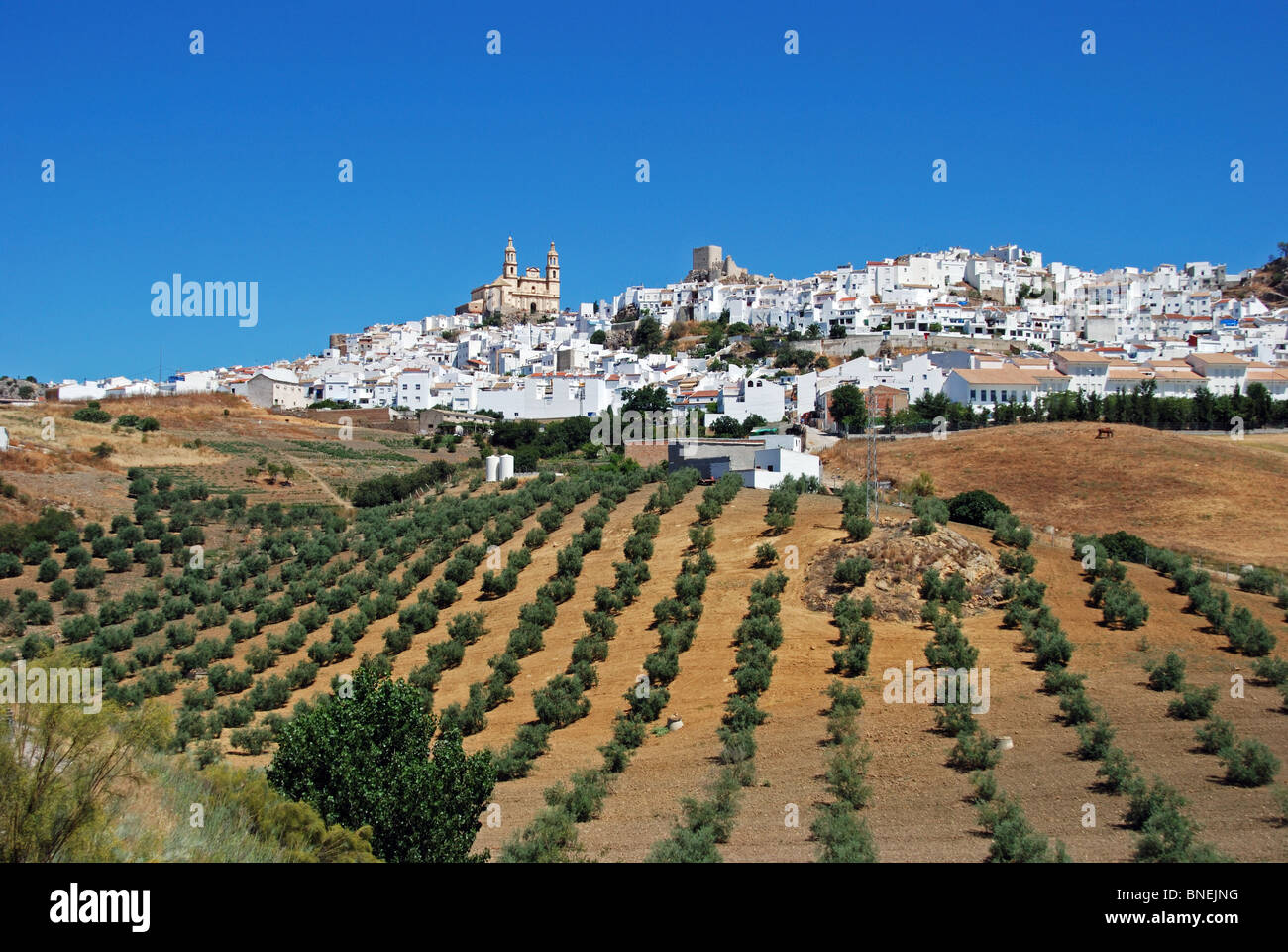 View of the town and countryside, Olvera, Cadiz Province, Andalucia ...