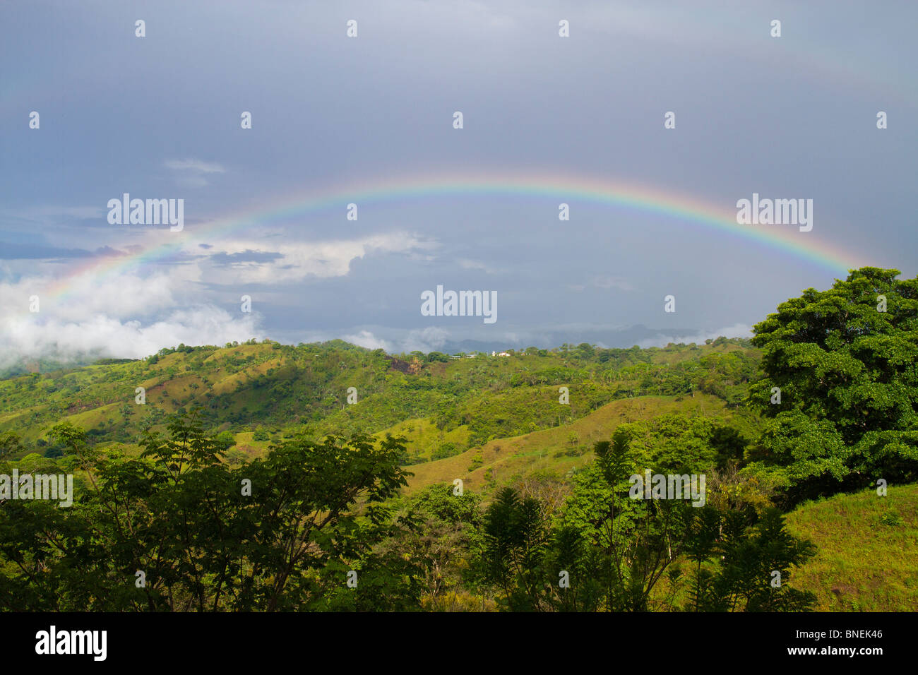 Rainbow over the rainforest. Province of Chiriqui, Republic of Panama ...