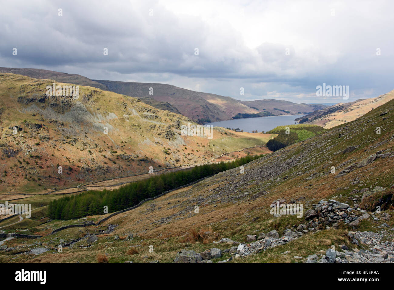 Haweswater trees lake district hi-res stock photography and images - Alamy