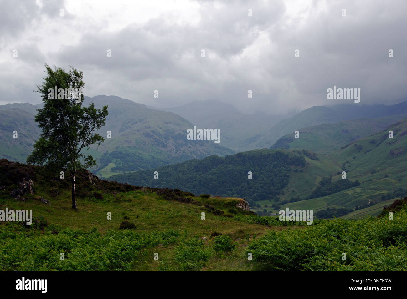 Grange In Borrowdale High Resolution Stock Photography and Images - Alamy