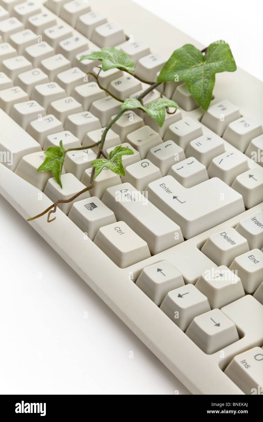 Computer plant hi-res stock photography and images - Alamy